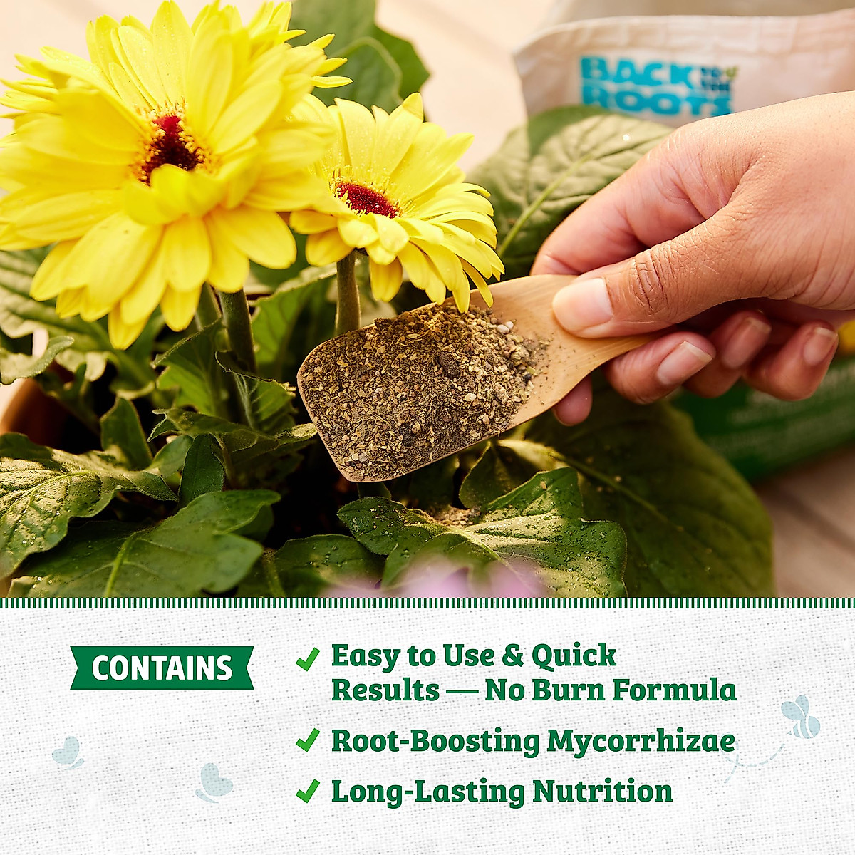 Back to the Roots Organic All-Purpose Plant Food (5 lb. Value Size), Premium Blend, Safe & Sustainable Vegan Formulation Made with Kelp and Alfaalfa Meal, Mycorrhize, and Rock Phosphate Minerals