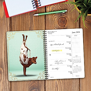 Animal Yoga 2024 Calendar