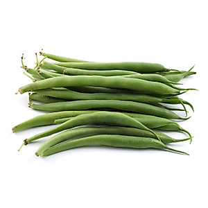 50 Green Bean Seeds for Planting - Provider - Bush Bean - Heirloom Non-GMO Vegetable Seeds for Planting