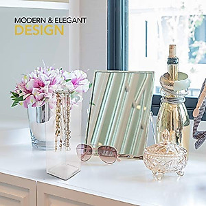 Stock Your Home Long Necklace Holder with 12 Hooks - Acrylic Jewelry Organizer Necklaces Stand and Display Case - Jewelry Box for Chains - Necklace Holder Box for Dressers & Vanity Tables, Clear