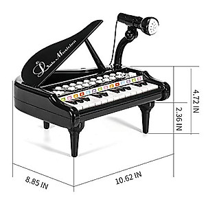 24 Keys,Kids Grand Piano Keyboard Toy for Beginners,3 4 5 6 Years Old Toddler Girl Boy First Birthday Gift,Musical Instrument,w/Microphone,Multiple Sounds,Note Stickers,Recordings,Connecting MP3,Black