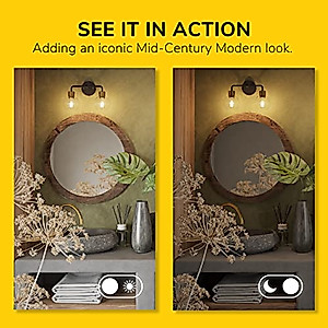 Inlight 16" Wide Black and Brushed Gold 2-Light Vanity Bath Light with Clear Seedy Glass Globe Shades, Bulb Not Included, IN-0443-2-GD