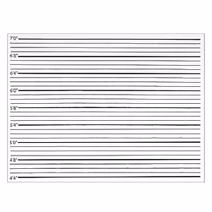 BLUE PANDA 25 Pack Mugshot Signs with Height Chart, 5x4 Ft Photo Bachelorette Backdrop for Wedding, Birthday, Jail Party Decorations, Halloween Party Supplies and Crime Scene Props