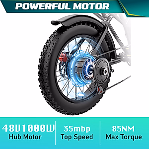 Electric Bike Adults 1000W Motor 30MPH with 48V 20AH Removable Lithium Battery 20" x 4.0 Fat Tire E Bike 40Miles with Professional Shim 7-Speed Beach Snow Mountain Electric Bicycle