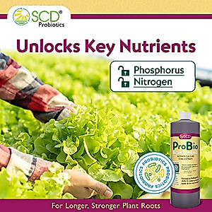 ProBio Balance Original - Make 20X More Farm and Garden Soil Conditioner - Super Concentrate Of Effective Beneficial Microorganisms - OMRI-Listed For Organic Crops, Organic Garden Soil - Made In USA, 1 Liter – by SCD Probiotics