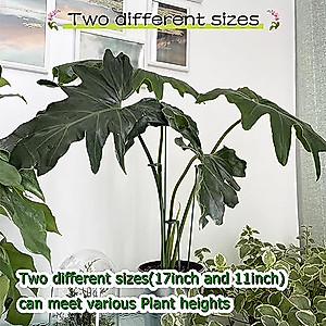 SupKing Plant Stakes,Invisible Plant Support Sticks with Rings for Indoor Outdoor Plants,16Pcs Plant Support Stakes Suitable for Potted Plant Flowers Peony Lily Rose Tomato (17"&11")