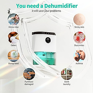 Dehumidifiers, 78oz Dehumidifiers for Home Bedroom 500 sq.ft with Humidity Control Auto Defrost & Timer, Auto-off Small Dehumidifier for Basement with 3 Modes LED Display & 7-color Lights for Closets Bathroom RV