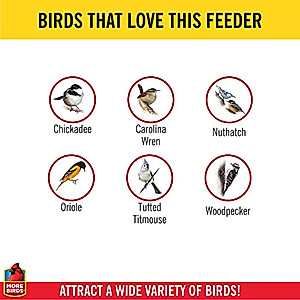 More Birds Double Suet Cage Bird Feeder with Metal Roof, Fruit and Suet Feeder, 2 Suet Cake Capacity