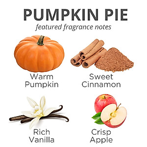 Birthday Cake Scented Candle for Home | Non Toxic Long Lasting Soy Candles | Delicious Scent | One Pint Mason Jar | Hand Made in The USA by Stillwater Bath and Body