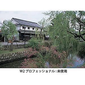 Kenko 72mm W2 Professional Multi-Coated Camera Lens Filters