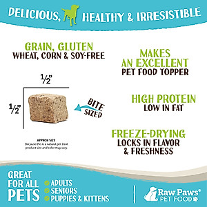 Raw Paws Freeze Dried Lamb Liver Treats for Dogs & Cats, 4-oz - Lamb Dog Treats Made in USA - Lamb Puppy Treats for Training - Liver Dog Treats - Cat Liver Treats for Dogs - Freeze Dried Dog Treats