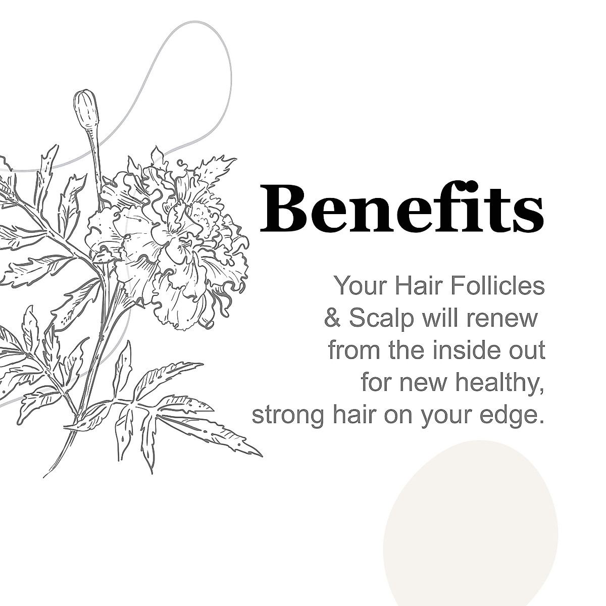 Perfecx - Edge Repair Hair Oil 2 fl oz - for Hair Scalp Treatment - 48 hours Herbal Infused Ayurvedic Natural Ingredients - Strengthen Hair - Hair Growth