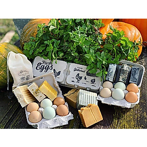 Half Dozen Empty Egg Cartons- Bulk 50 Full Dozen Can Split to 100 Half Dozen Size- Securely Holds 6 or 12 Extra Large Eggs