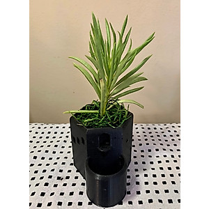 Mini Castle Succulent Planter Sustainable 3D Printed PLA Decorative Planter Succulent Planter Tower - Building Planter - Architecture Pot (Black)