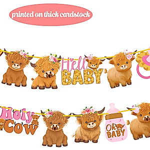 Pink Highland Cow Banners 2Pcs Highland Cow Baby Shower Party Decorations Holy Cow Baby Shower Banner Highland Cattle Cutout Decorations for Girl Oh Baby Cow Birthday Party Supplies