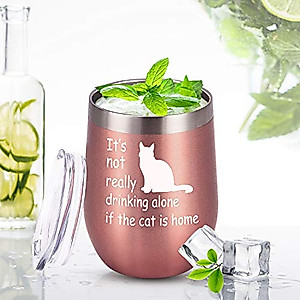 GINGPROUS Cat Lover Gifts for Women, It's not Really Drinking Alone if the Cat is Home Wine Tumbler, Funny Birthday Gifts for Women Cat Mom Cat Lover Cat Lady