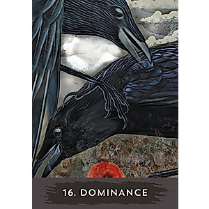 Urban Crow Oracle: A 54-Card Deck and Guidebook