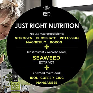 Indoor Outdoor Fertilizer Bundle, 2 Products, Container Plants, Gardens, & Flowers, Water Soluble Plant Foods