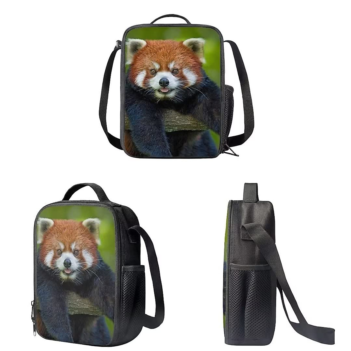 AmzPrint Carry On Lightweight 3 In 1 Cute Red Panda Backpack With Lunch Box For Elementary Middle School Kids Boys Girl