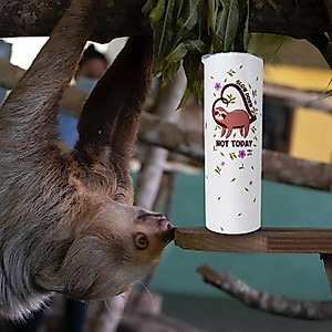 XAIVEZL Sloth Tumbler with Lid and Straw - Sloth Gifts for Women Cute Sloth Travel Coffee Mug - 20 oz Tumbler Mothers Day Birthday Gifts for Women Friend Daughter