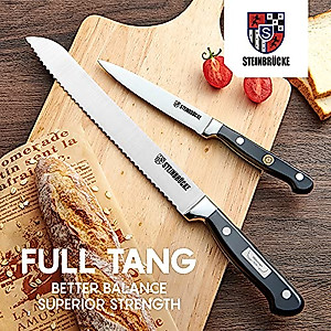 Serrated Bread knife 10 inch - Ultra sharp Bread Slicing Knife Forged from German Stainless Steel 5Cr15Mov, HRC58, Full Tang kitchen bread knife for Homemade, Crusty&Soft Bread