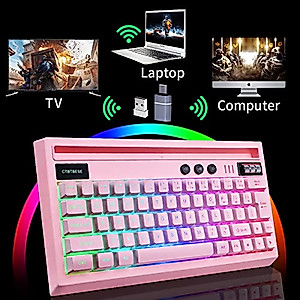 CTBTBESE Wireless RGB Backlit Gaming Keyboard, Ultra-Compact 61 Keys with Phone Stand, Waterproof for PC/Mac Gamer, Typist, Travel(Pink)…