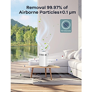 Welov Air Purifiers for Bedroom: H13 True HEPA Air Purifiers for Pets Allergies Asthma,Mini Portable H13 HEPA Air Purifiers with Aromatherapy,Air Cleaner for Nursery Removal to 0.1 Microns