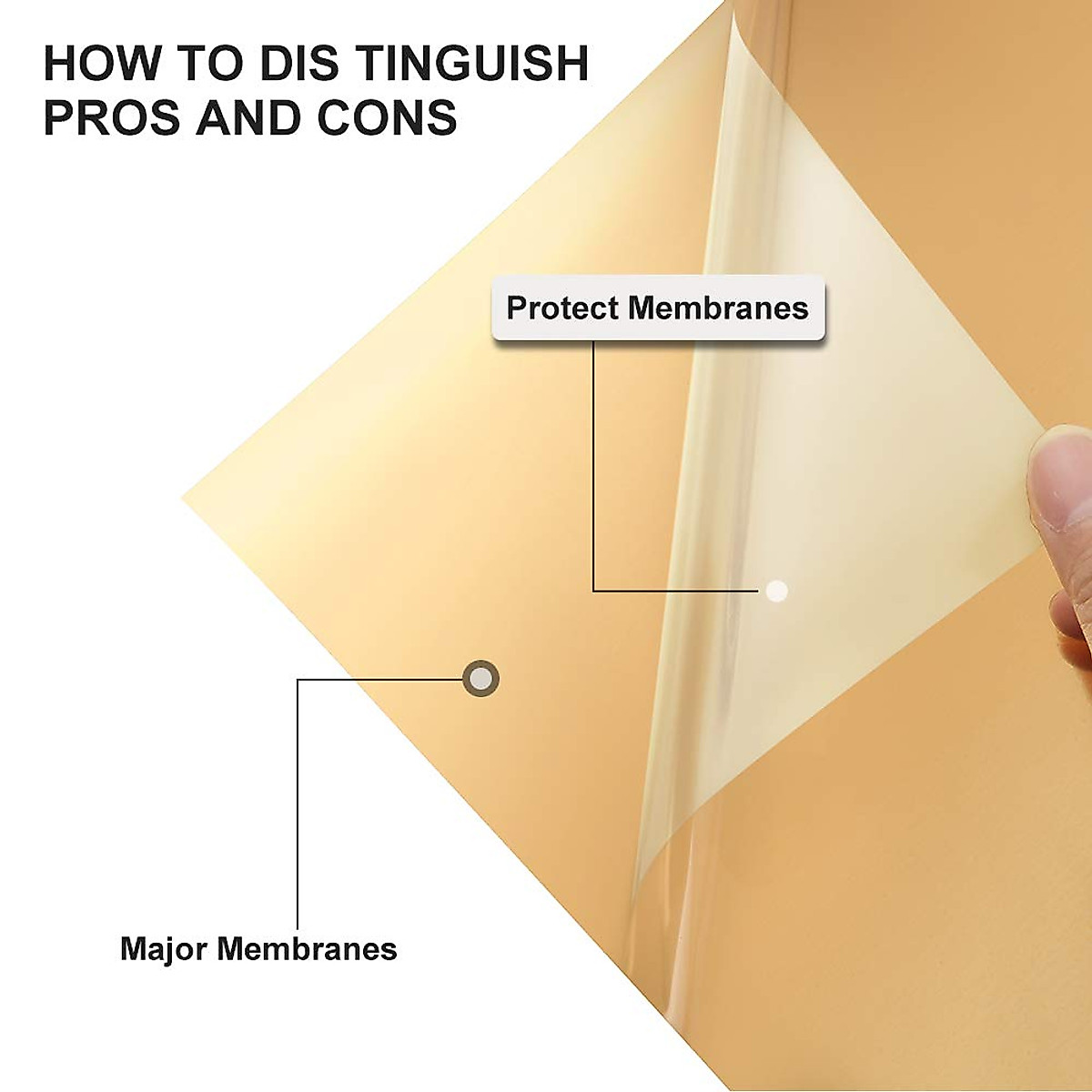 Metallic HTV Heat Transfer Foil Vinyl for T-Shirt 10" 5 feet Rolls Iron on Vinyl Works with Cameo and Cutters DIY Design for Decoration (Gold)