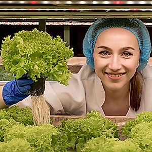 Yinder 400 Pack Net Pots 2 Inch Net Cups Thin Lip Hydroponics Supplies Cups Garden Slotted Mesh Net Cups Aquaponics Garden Slotted Mesh Net Pot Hydroponics Slotted Mesh Cups