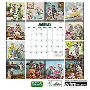 Hedgehogs 2018 Wall Calendar