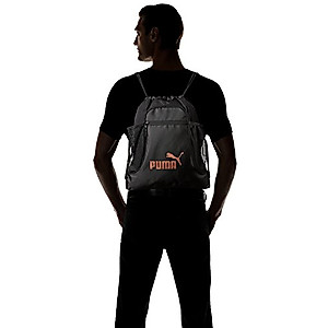 PUMA EVERCAT EQUINOX CARRYSACK