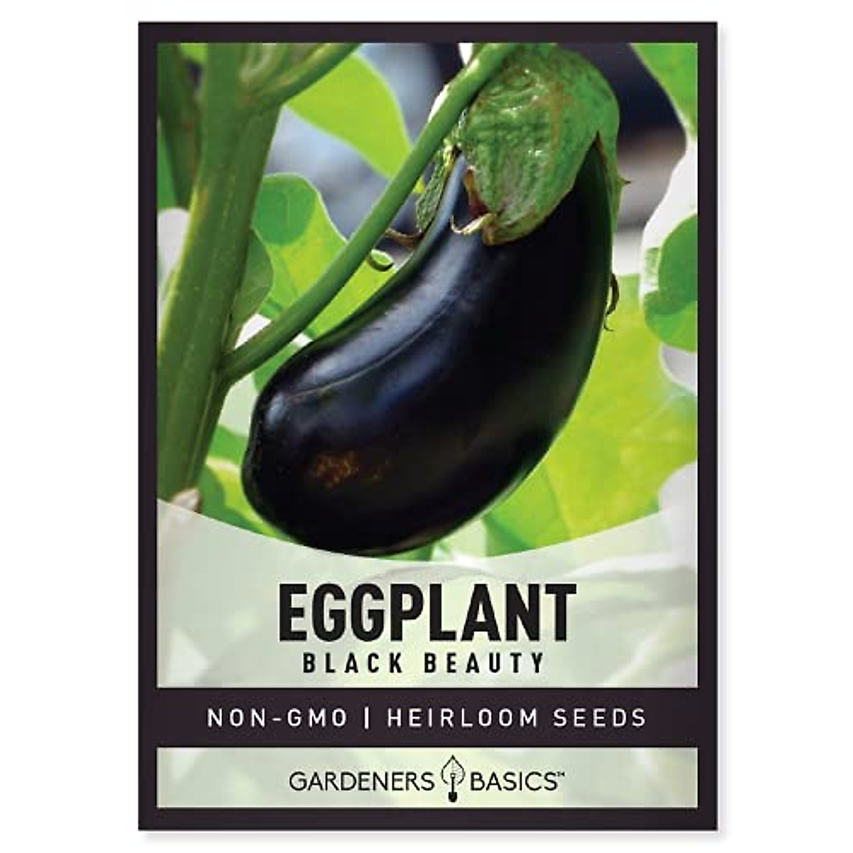 Eggplant Seeds for Planting - Black Beauty Solanum melongena is A Great Heirloom, Non-GMO Vegetable Variety- 300 mg Seeds Great for Outdoor Spring, Winter and Fall Gardening by Gardeners Basics