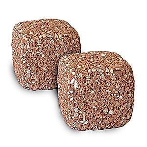 EcoBio-Block Stone Natural Volcanic Water Clarifier and Odor Remover Rock for Aquariums, Nano, 2-Pack