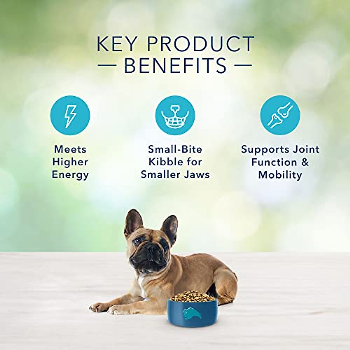 Blue Buffalo Freedom Grain Free Natural Adult Small Breed Dry Dog Food, Chicken 11-lb