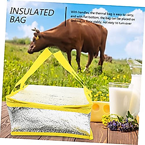 SOLUSTRE 10pcs Pizza Cooler Bag Car Decor Portable Ice Pack Cooler for Car Insulated Grocery Bags Car Insulated Bag Cake Decorating Non-woven Fabric Handle Food Bag Food Warmer Grocery Bag