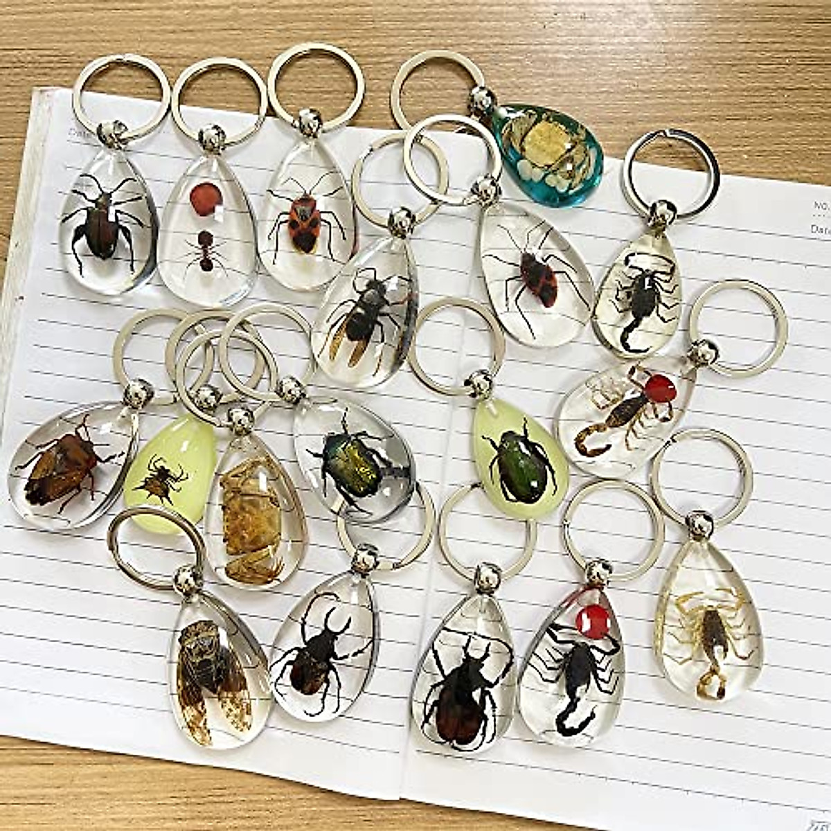 QTMY 6 Pack Insect in Resin Specimen Collection Paperweights Keychain,Christmas for Men Women Biology Science Teacher Education,Mystery Box (3)