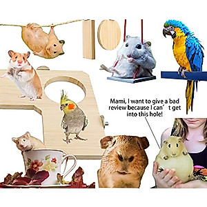 LeonBach 5 Pack Hamster Cage Platform Set, Cage Accessories Cage Platform for Chinchilla Hamster Bird, 12.6" L-Shaped Wooden Platform & 4 Pack Standing Board