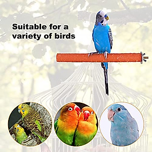 Xuezoioy Bird Perches for Cage, Portable Parrot Stand Toy Pack of 4 Bird Perch Stand Platform Paw Grinding Stick Cage Accessories Exercise Toys for Budgies,Parakeet,Hamster(Random Color)
