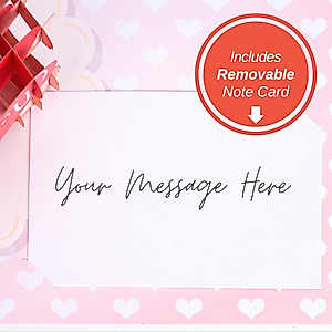 Paper Love Valentines Day Pop Up Card, 3D Teddy Bear - 5" x 7" Cover - Includes Envelope and Note Card