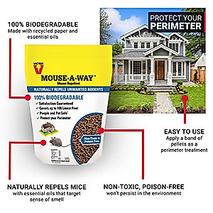 Victor M806 Mouse-A-Way Mouse Repellent