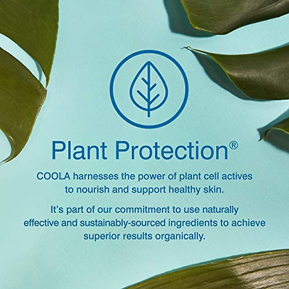 COOLA Organic Sunscreen SPF 30 Sunblock Spray, Dermatologist Tested Skin Care for Daily Protection, Vegan and Gluten Free, Piña Colada, Travel Size, 2 Fl Oz