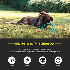 Playology Dri-Tech Ring Peanut Butter Dog Toy Large