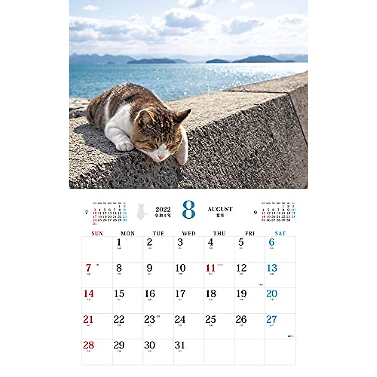 そとねこ (インプレスカレンダー2022)