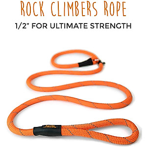 Mighty Paw 6' Slip Dog Leash - Gentle Correction with No More Pulling - Rock Climbers Rope for Ultimate Strength - Universal Design - One Size Fits All - Control When You Need It - Reflective Thread