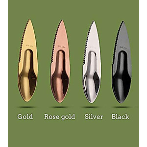 AnSaw Kiwi Spoon knife 2-in-1 Reusable avocados Fruit Cutter Peeler Spoons, Stainless Steel Multi Use For Home Kitchen and Travel Utensil,Set of 4