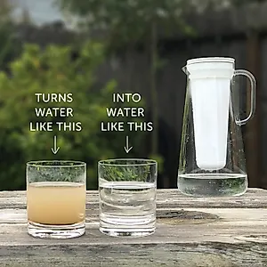 LifeStraw Home – Replacement Membrane Microfilter Filter for protection against bacteria, parasites, microplastics, PFAS and 30+ contaminants