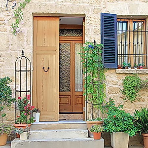 Garden Obelisk Trellis for Climbing Plants, Rustproof Plastic Coated Metal Plant Support, Garden Tower Trellis Indoor Potted Plant, Tomato Plant Cage for Support Rose, Vegetable Vines(1 Pack)