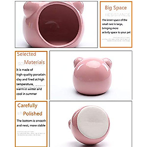 gutongyuan Mini Hamsters House Pet Hideout Hut Cave,Small Animal Ceramic Critter Bath Toy, Ideal for Dwarf Hamsters and Gerbils