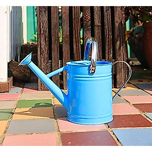 Joequality Watering Can for Outdoor&Indoor Plants，Galvanized Steel Watering Can with Stainless Steel Handles，1 Gallon Metal Plant Watering Pot Gardening Tools，Blue