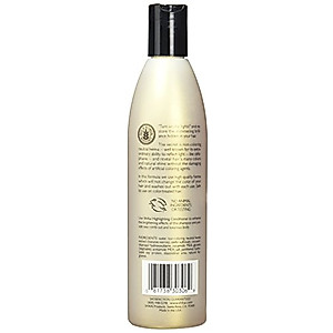 ShiKai Henna Gold Highlighting Shampoo (12 oz) | Hydrating Hair Brightener Enhances Natural Highlights | Add Shine & Volume to Dull Hair